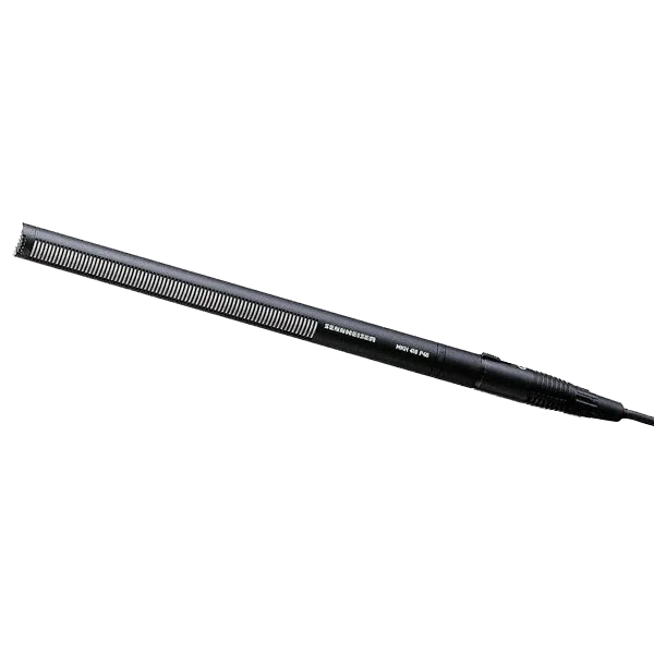 Sennheiser MKH 416 Moisture-Resistant Shotgun Microphone — Pro Photo ...